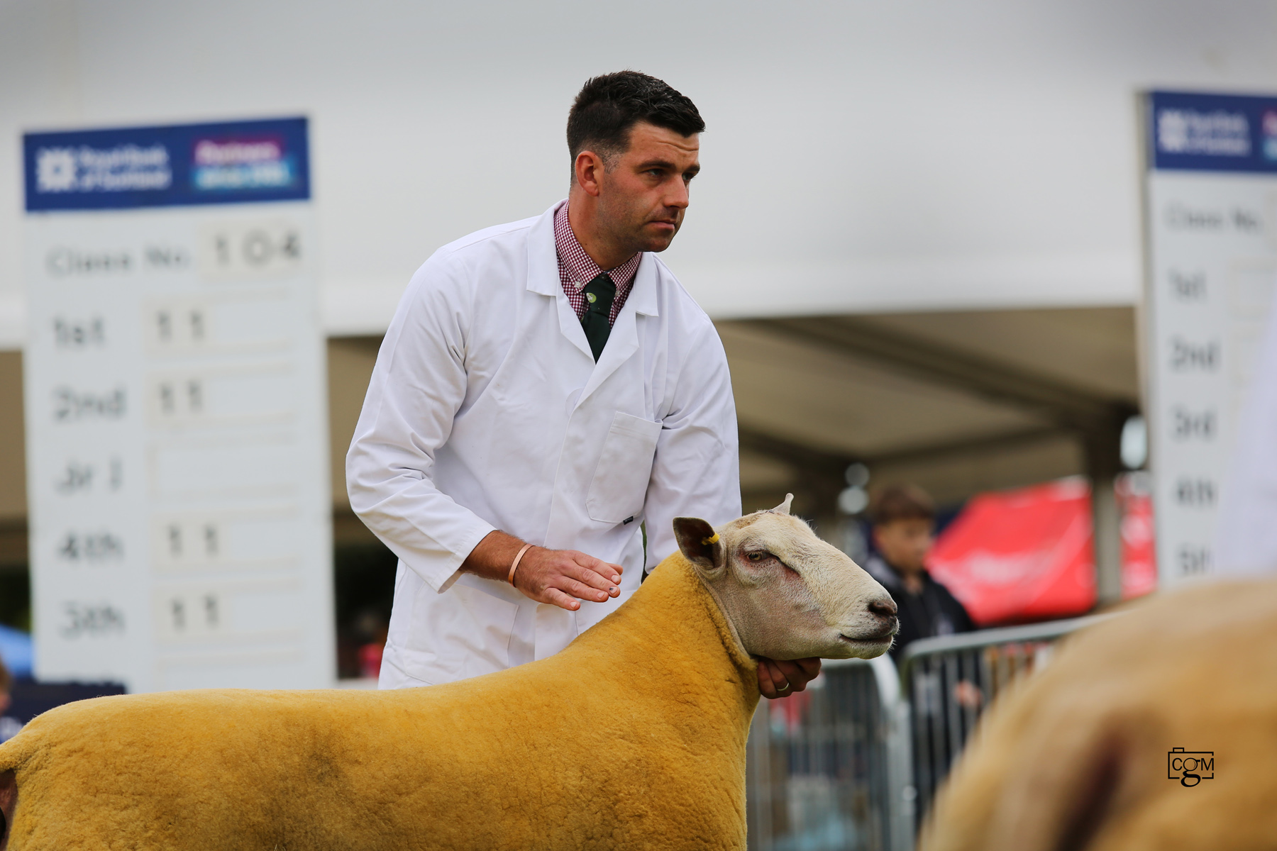 Loaningfoot flock clinches Royal Highland championship – Charollais ...