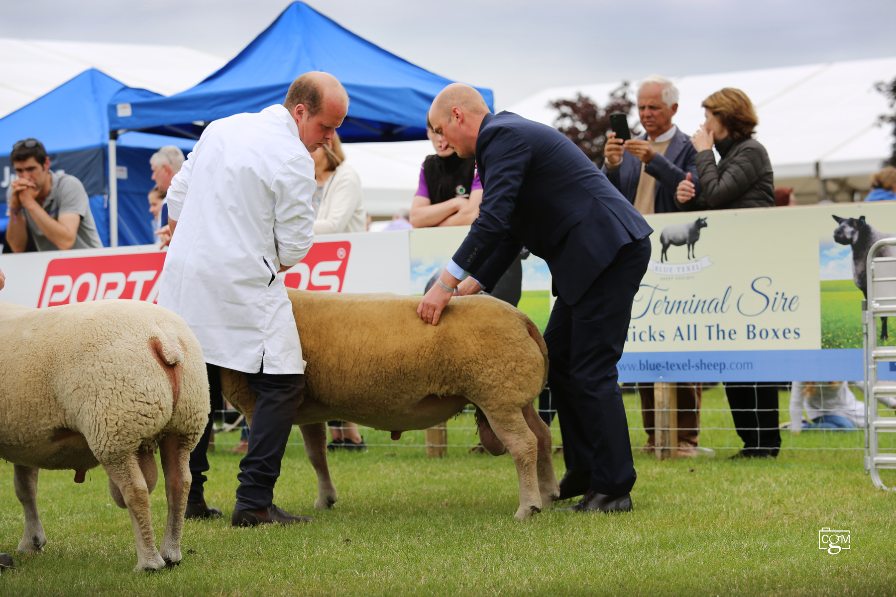 Loaningfoot flock clinches Royal Highland championship – Charollais ...
