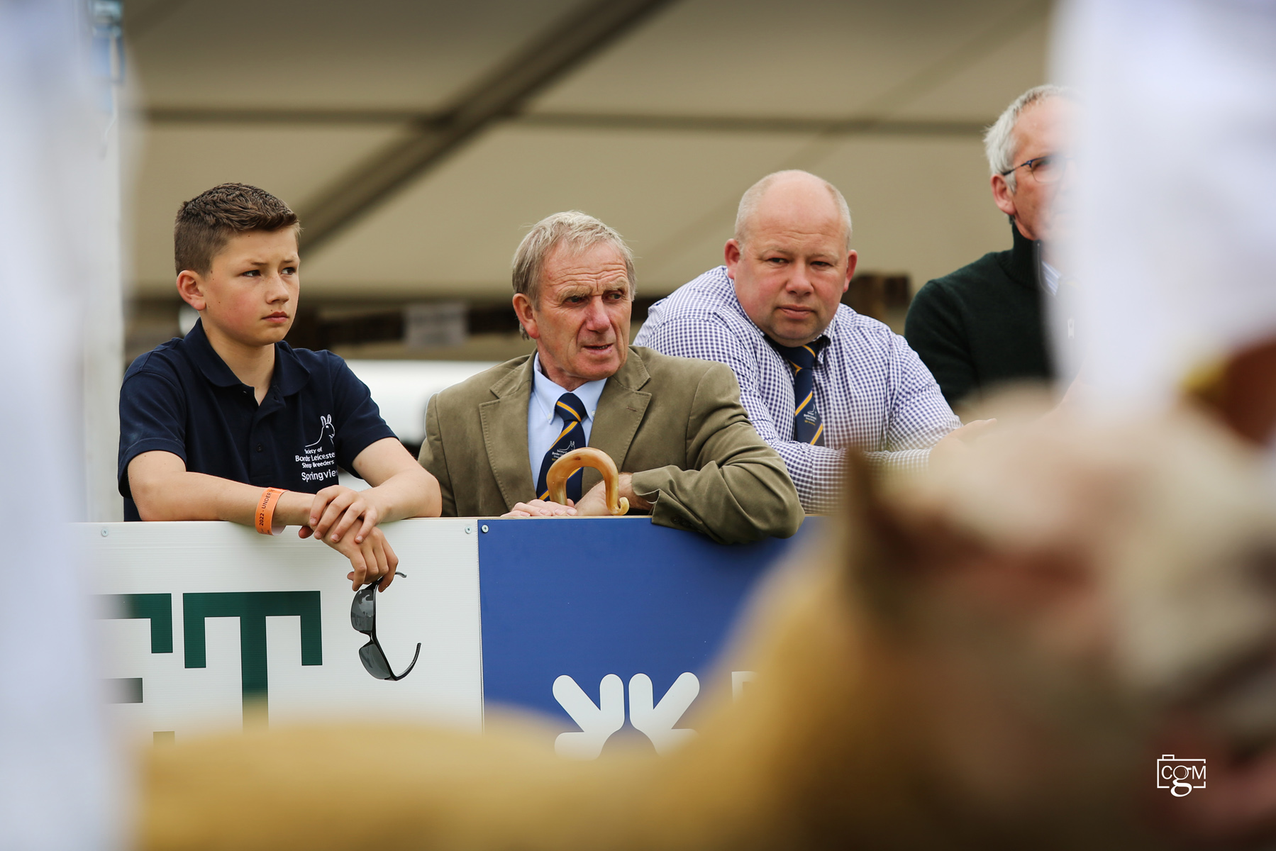 Loaningfoot flock clinches Royal Highland championship – Charollais ...