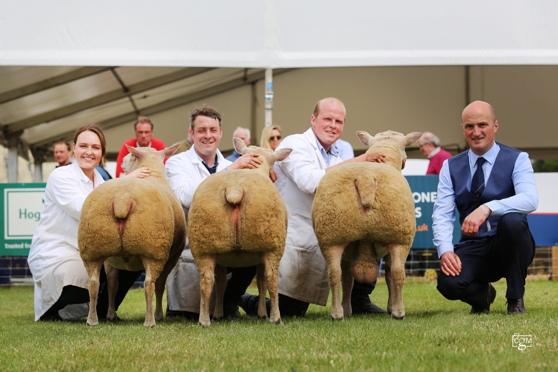 Loaningfoot flock clinches Royal Highland championship – Charollais ...