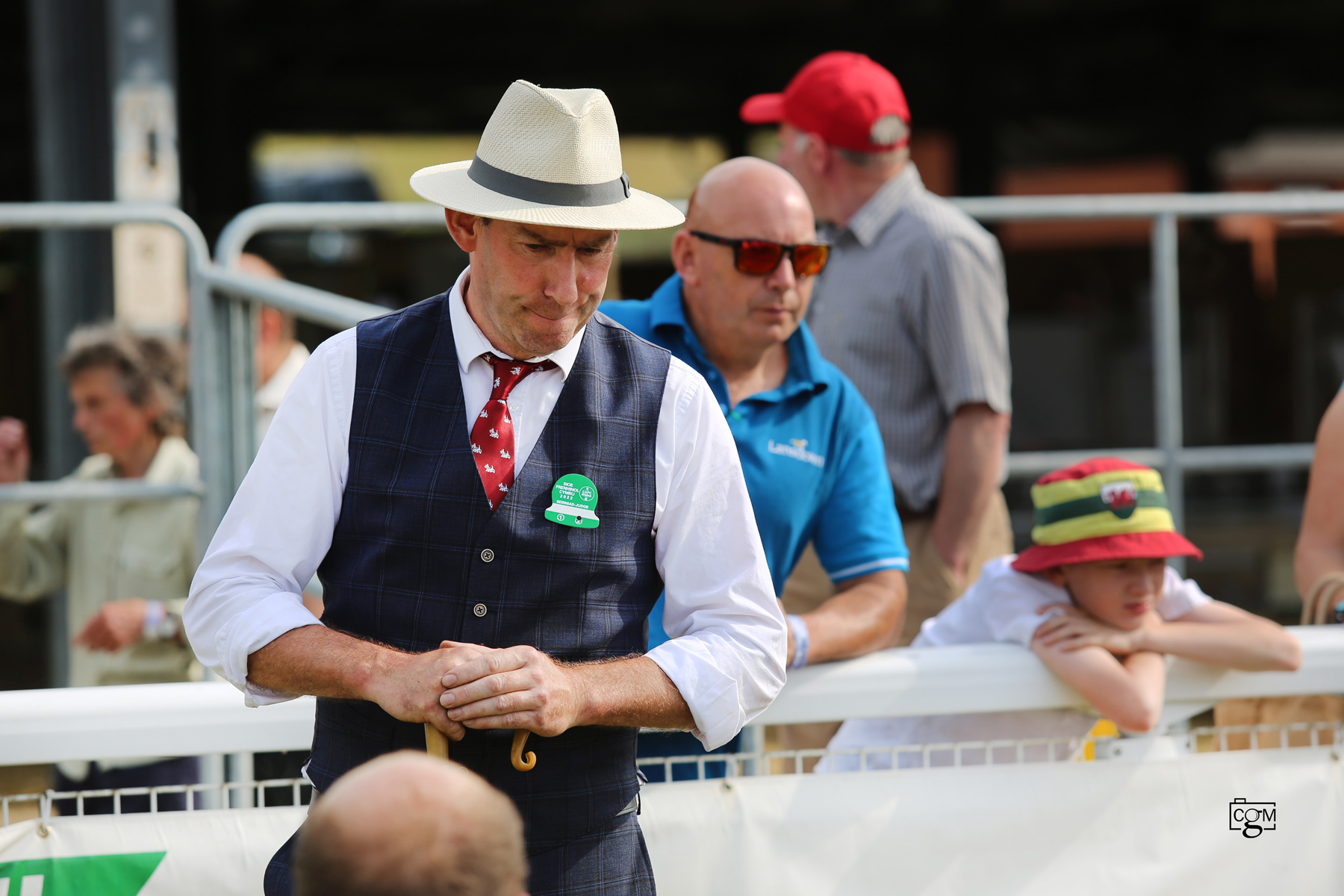 Glyn Coch ewe lamb wins Royal Welsh – Charollais Sheep Society