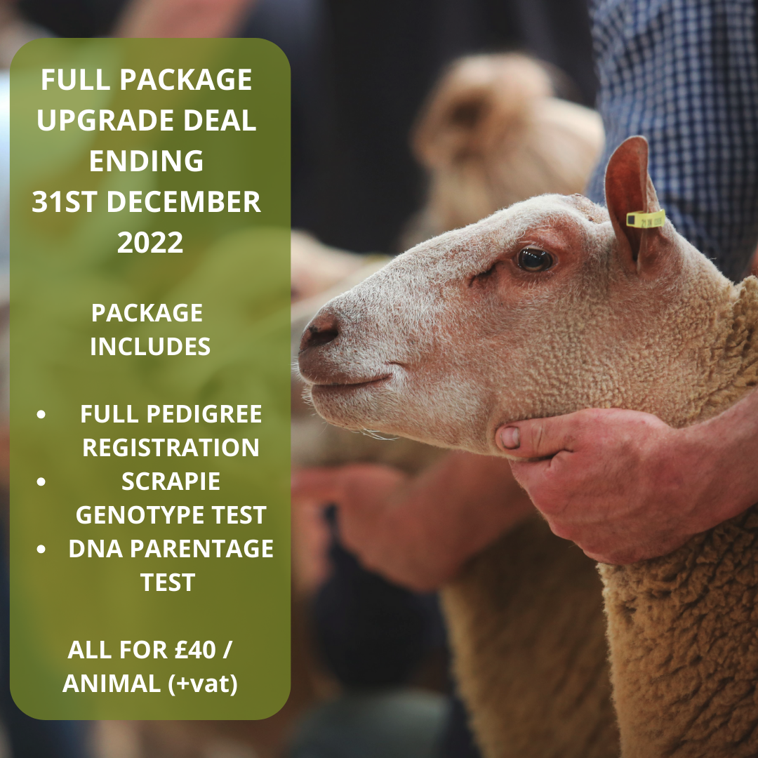 DNA PARENTAGE TESTING MORE INFORMATION – Charollais Sheep Society