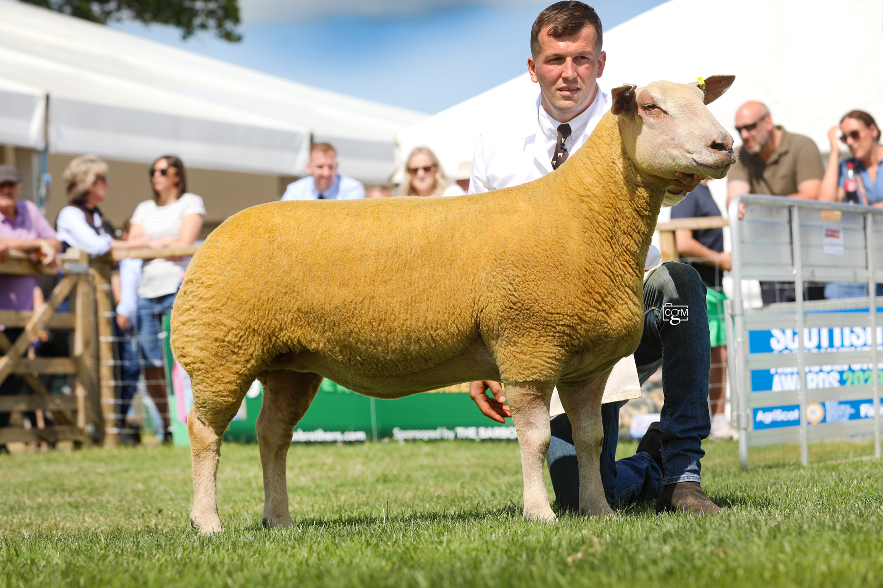 Loaningfoot flock claims Royal Highland championship two years on the ...