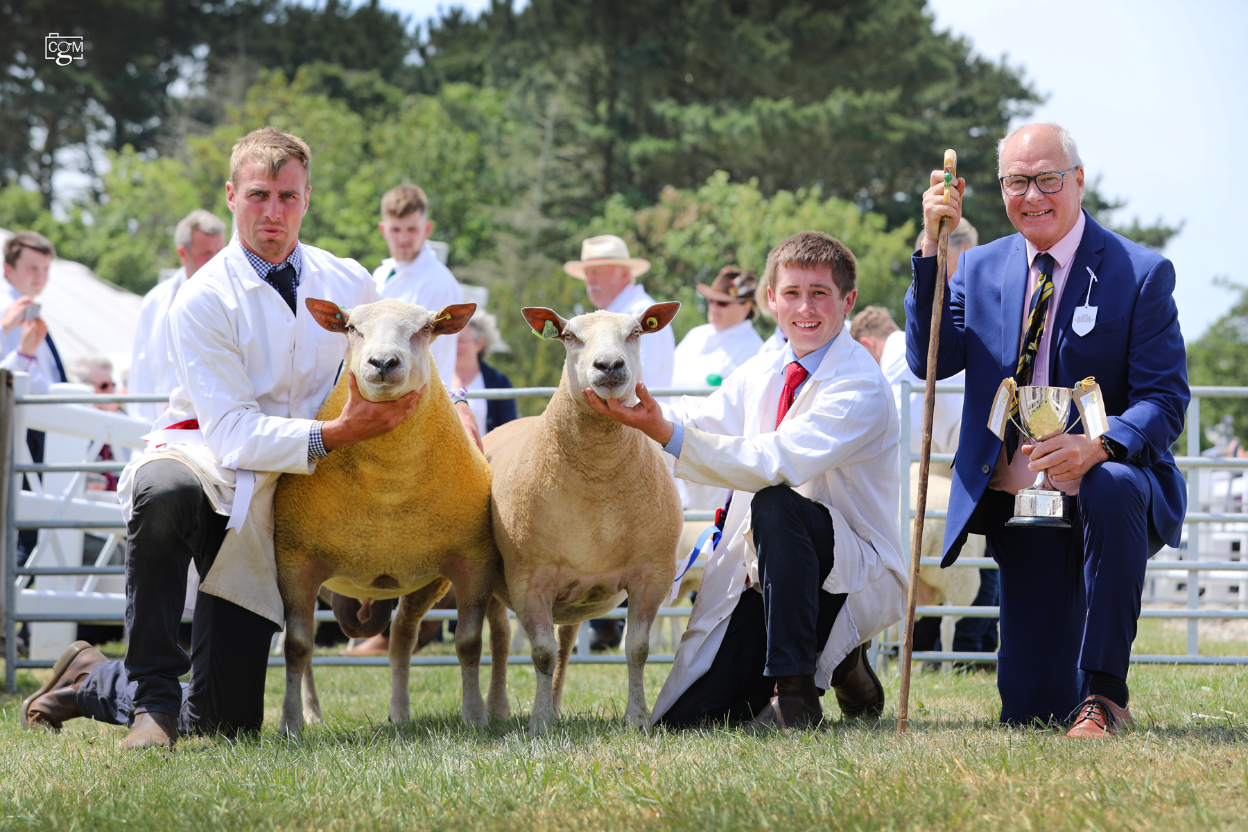 A triple win of interbreeds at Royal Cornwall Show – Charollais Sheep ...