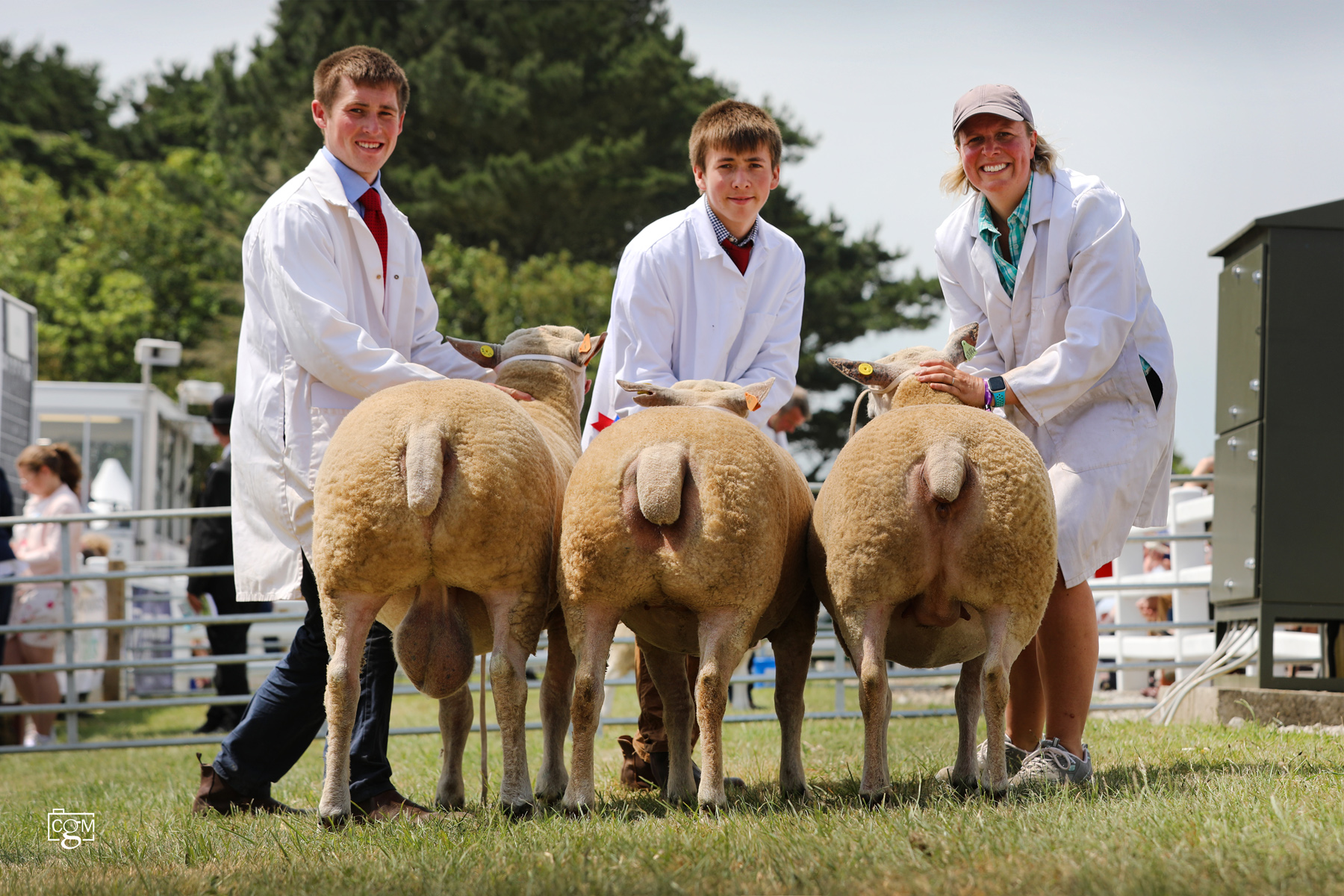 A triple win of interbreeds at Royal Cornwall Show – Charollais Sheep ...