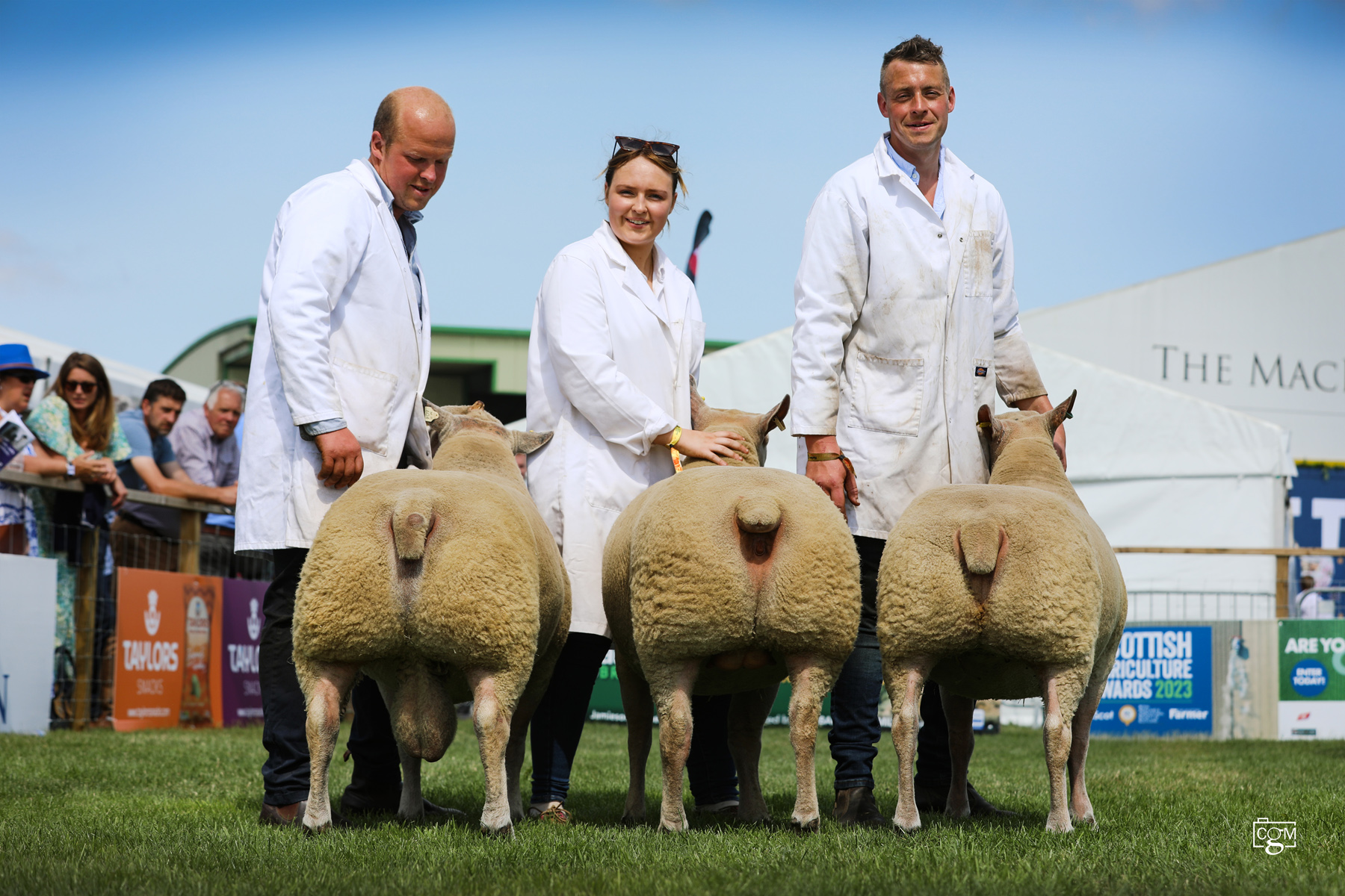Loaningfoot flock claims Royal Highland championship two years on the ...