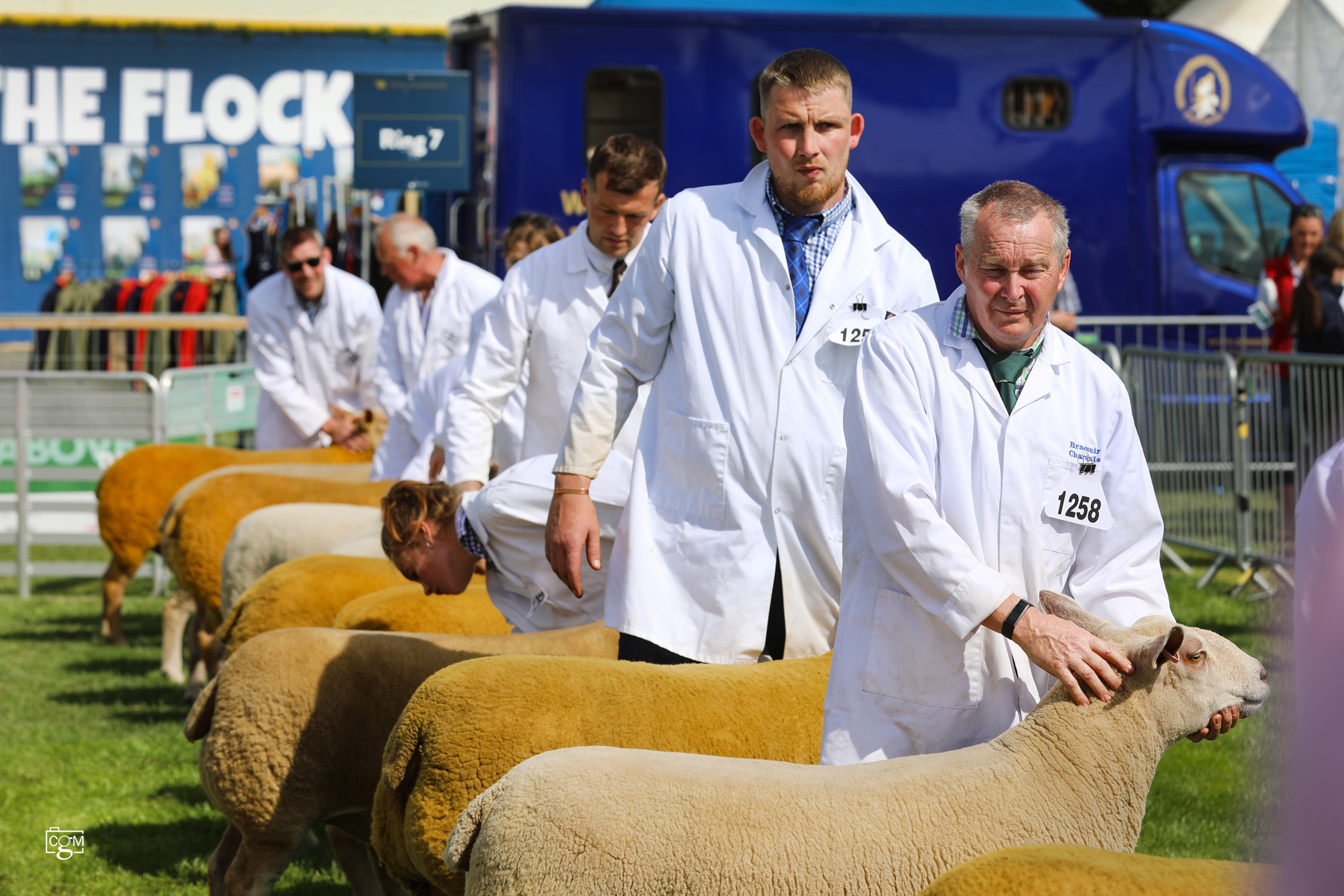 Loaningfoot flock claims Royal Highland championship two years on the ...
