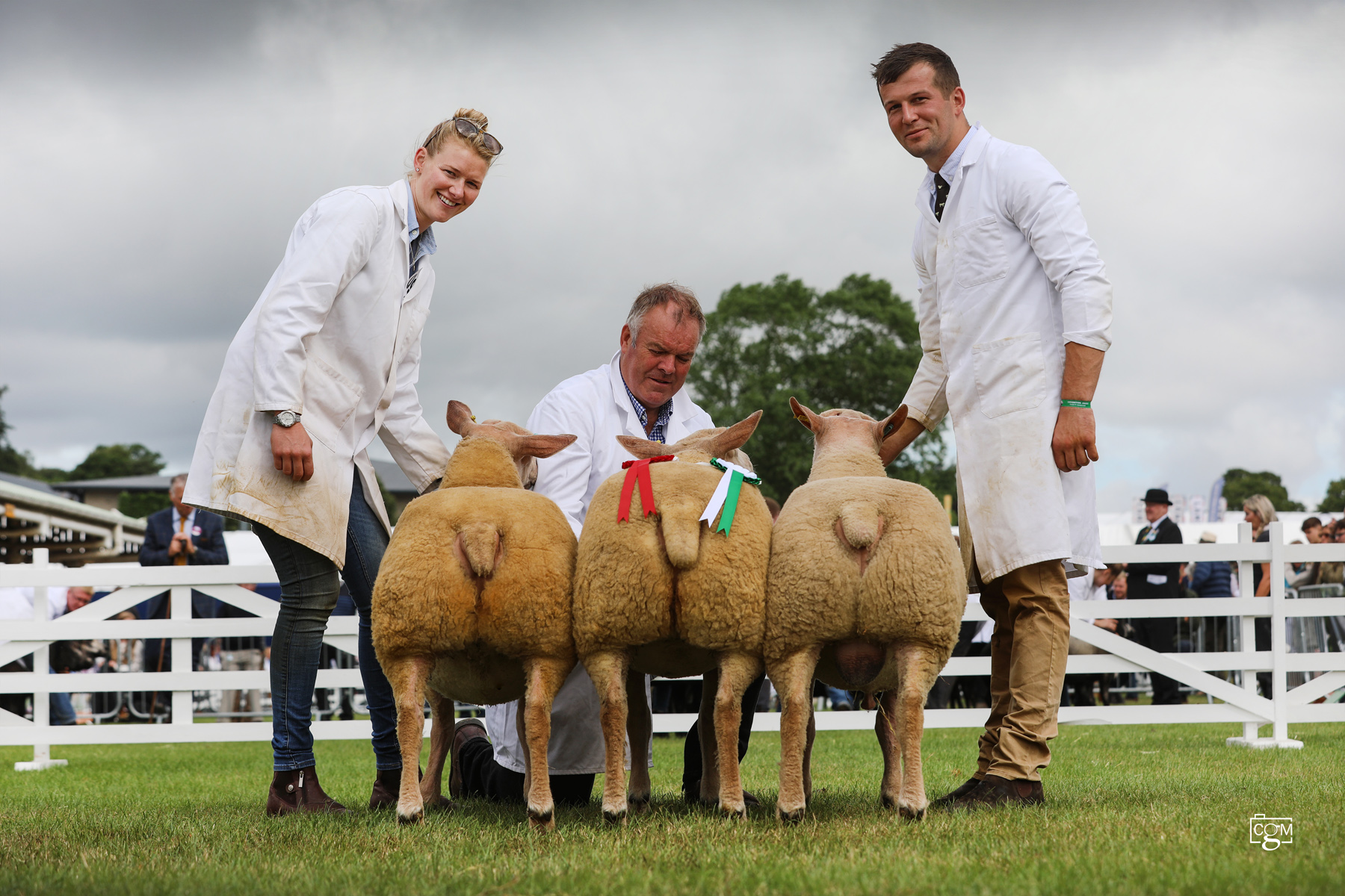 Loaningfoot carries on winning form at Great Yorkshire Show ...