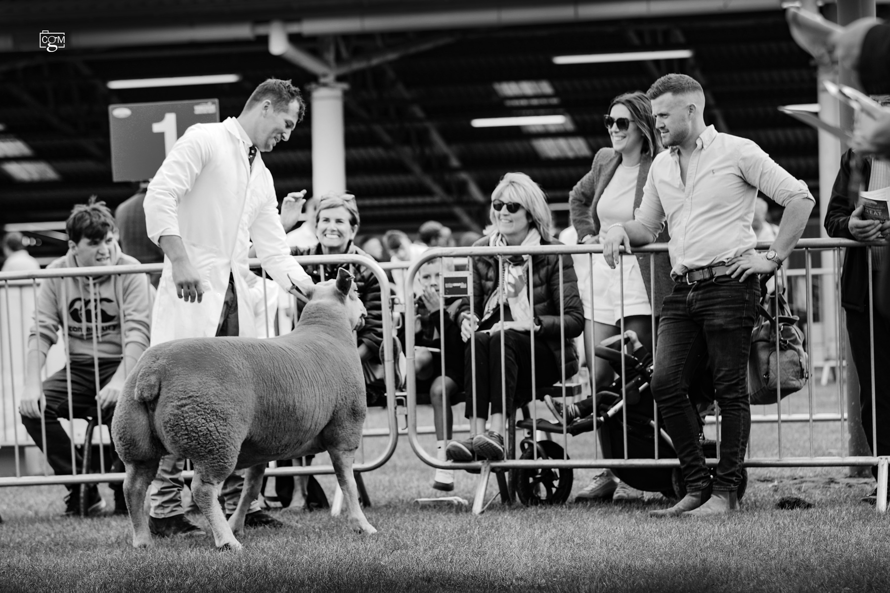 Loaningfoot carries on winning form at Great Yorkshire Show ...