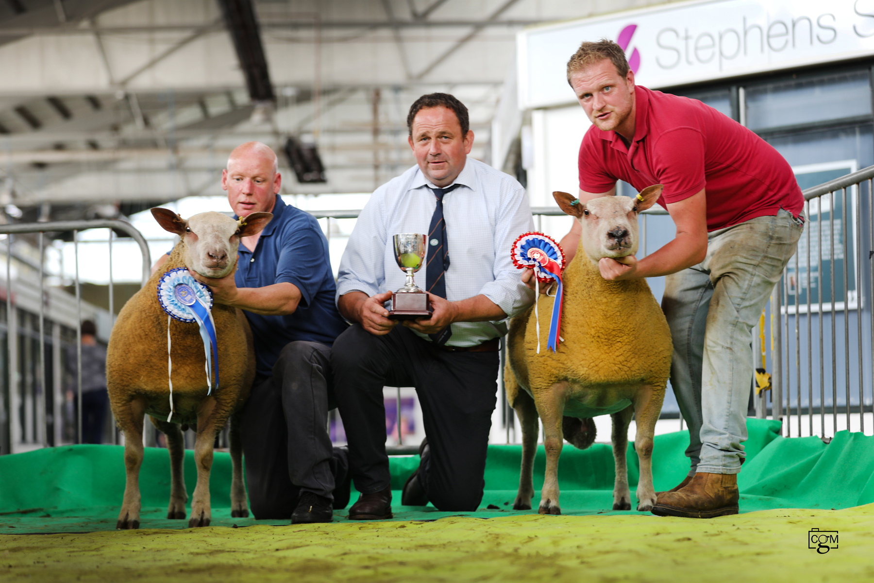 Prestleigh flock sets new centre record at NSA Exeter sale – Charollais ...