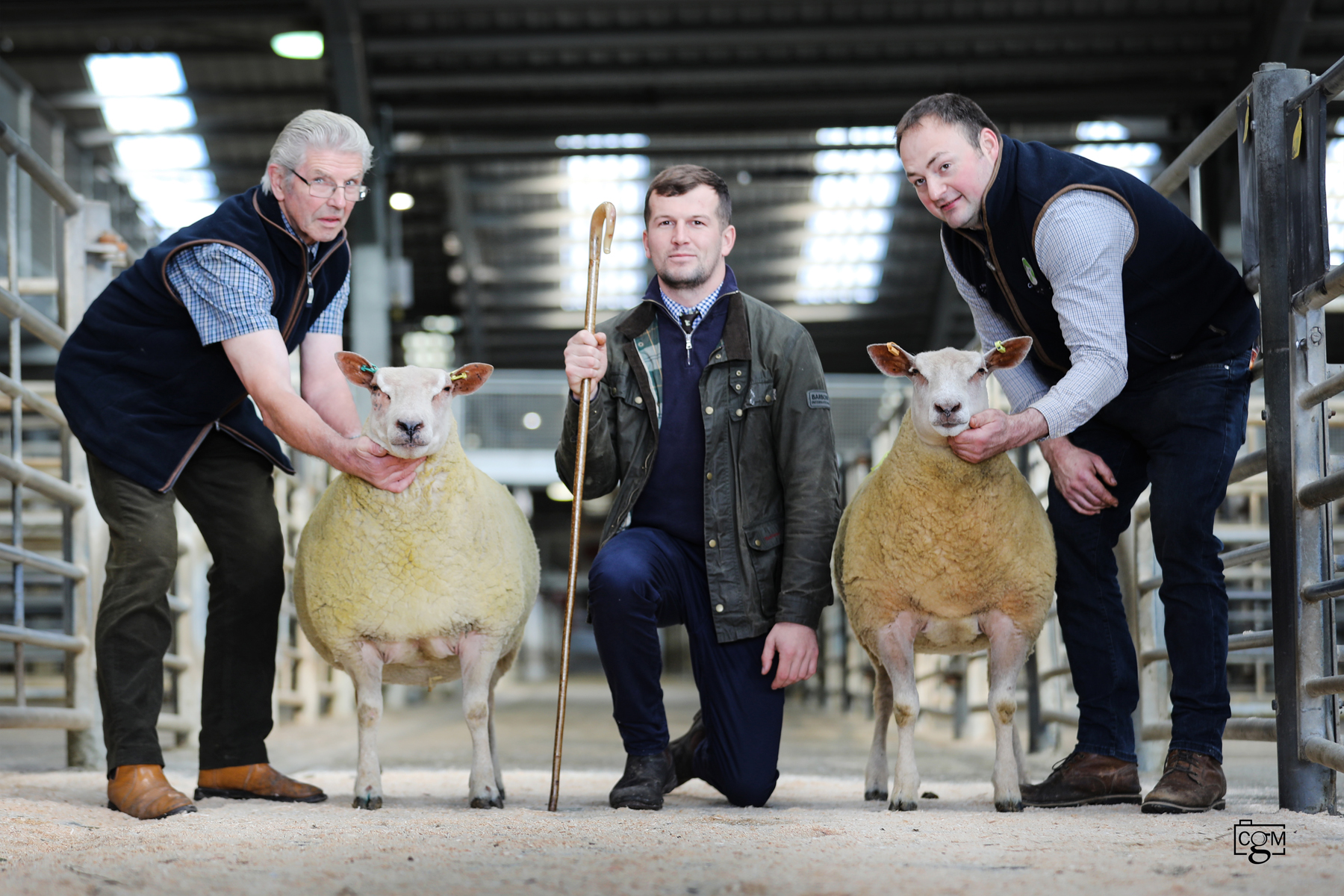 Kirkhouse leads Skipton Society female sale with championship honours ...