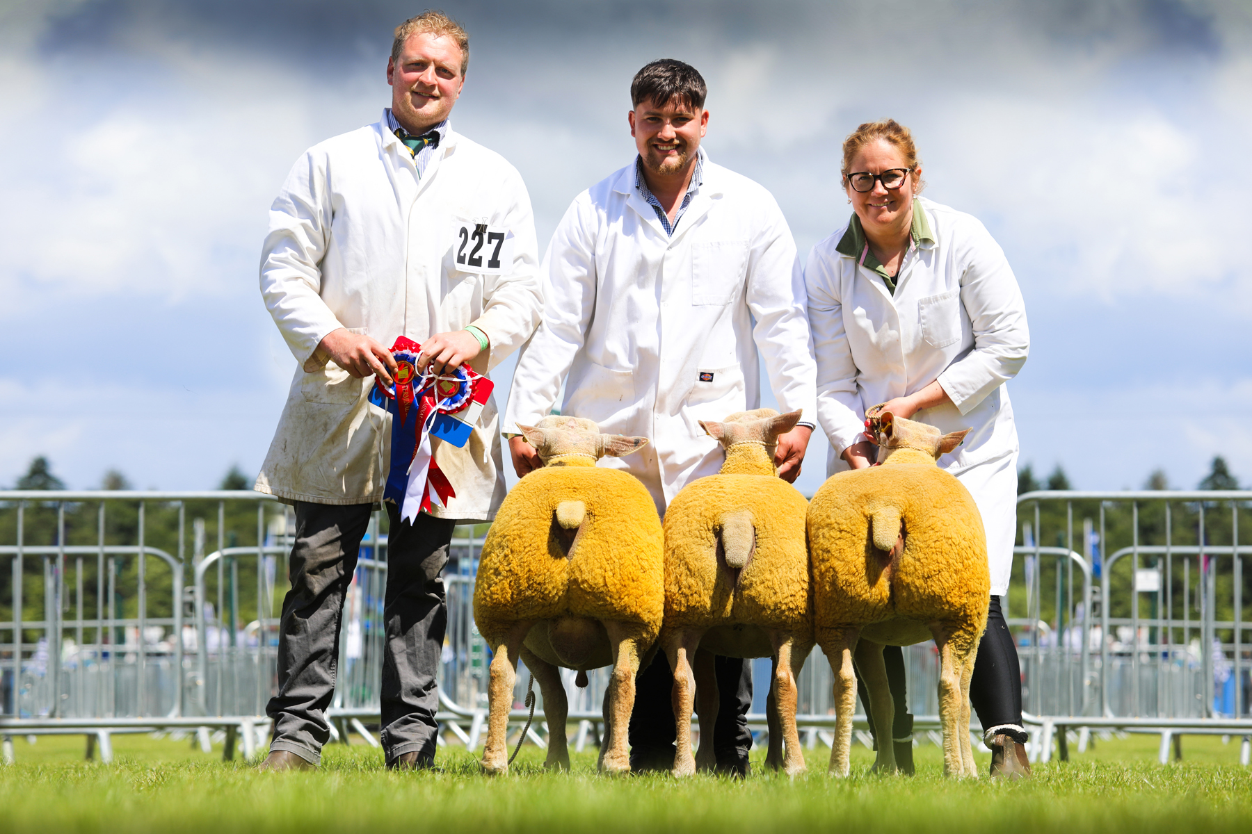 Boyo takes championship at Royal Three Counties – Charollais Sheep Society