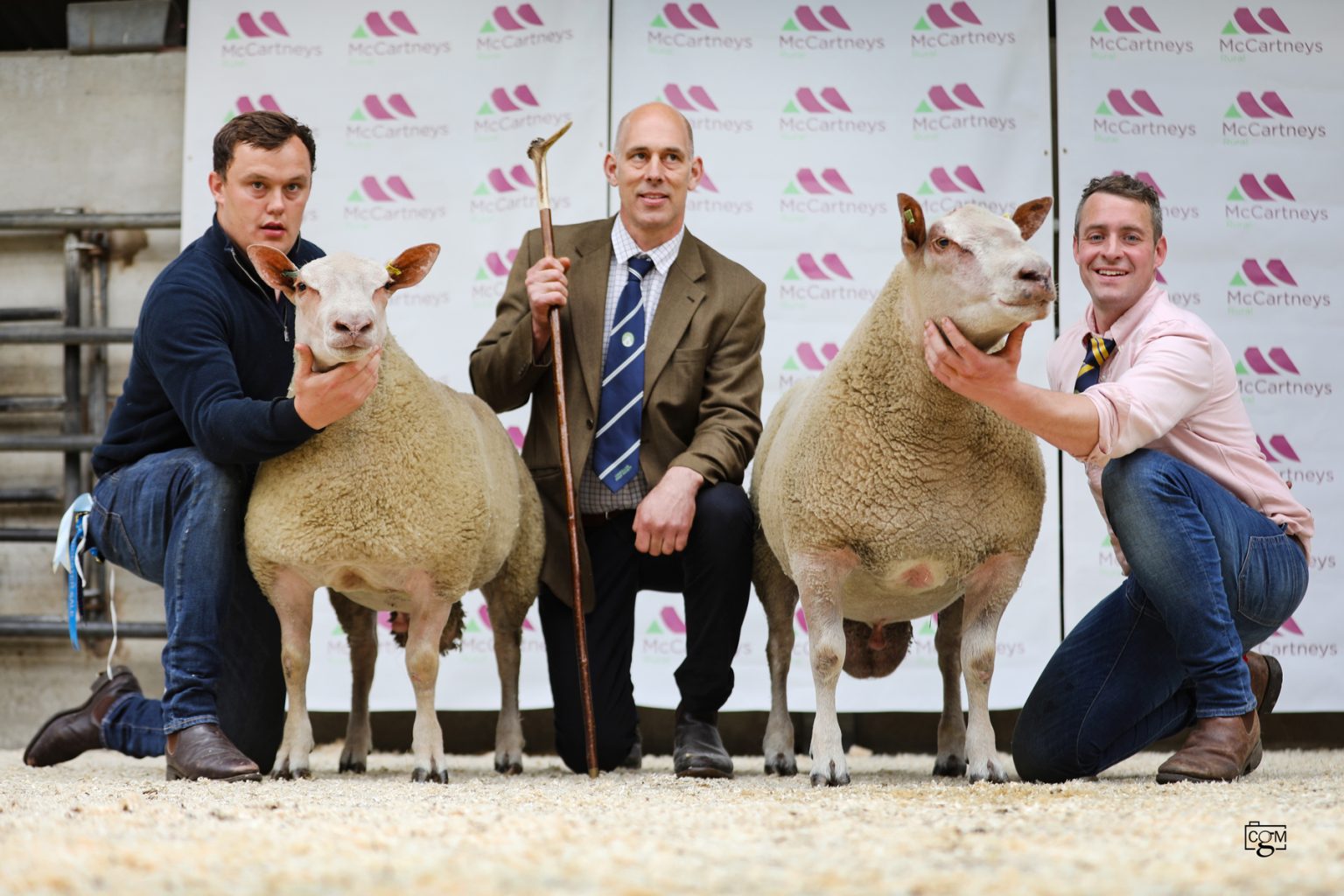 Logie Durno proves to be pick of the Premier at 6200gns – Charollais ...