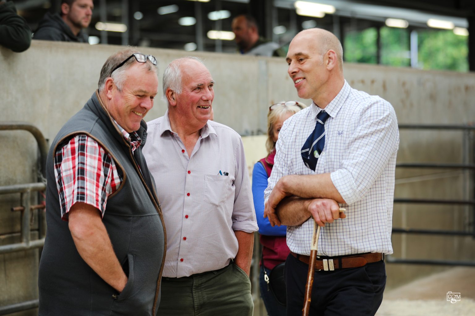 Logie Durno proves to be pick of the Premier at 6200gns – Charollais ...