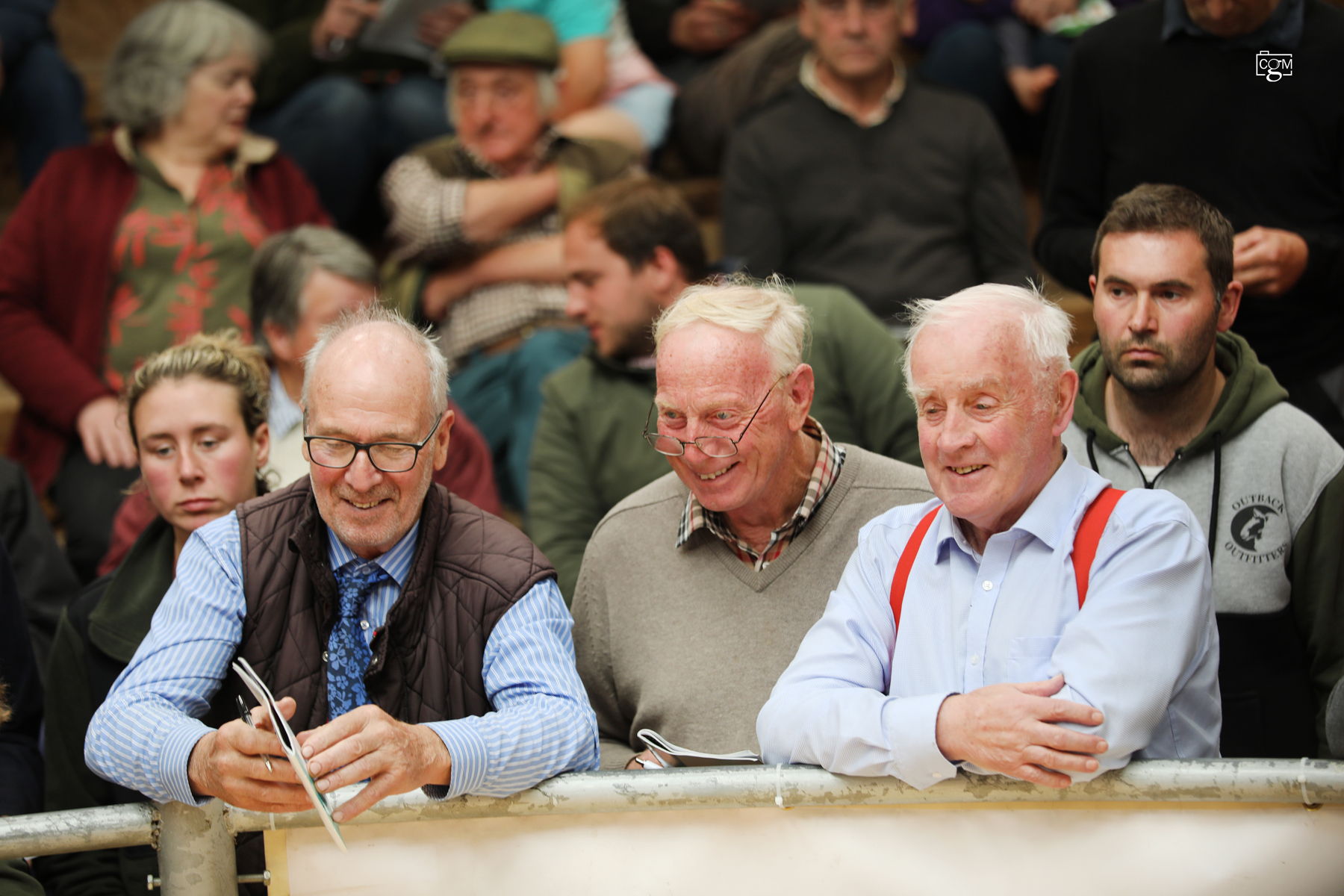 Logie Durno proves to be pick of the Premier at 6200gns – Charollais ...